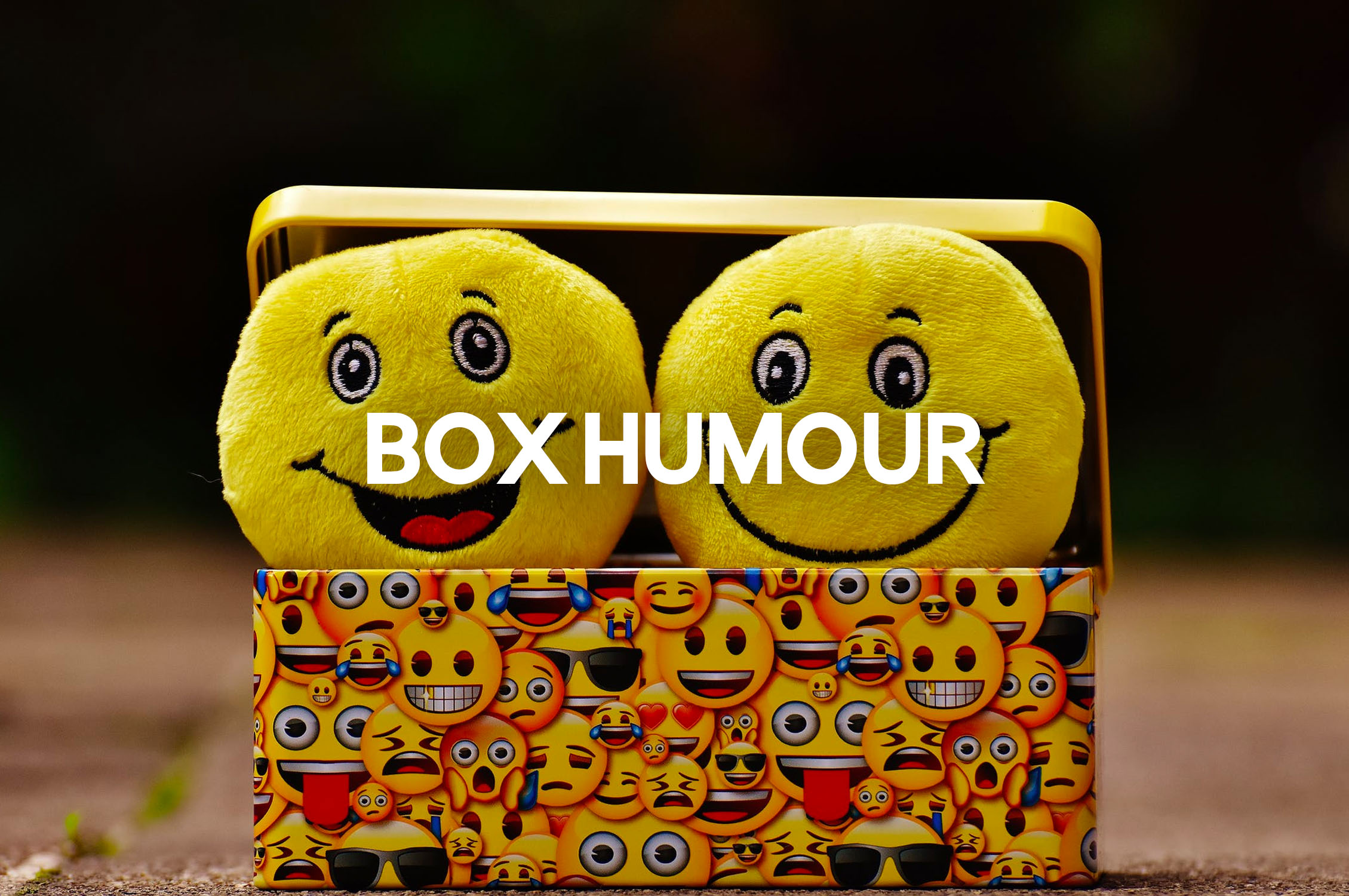 Le Top 5 des Box Humour les Plus Drôles en 2024 - Box à Offrir